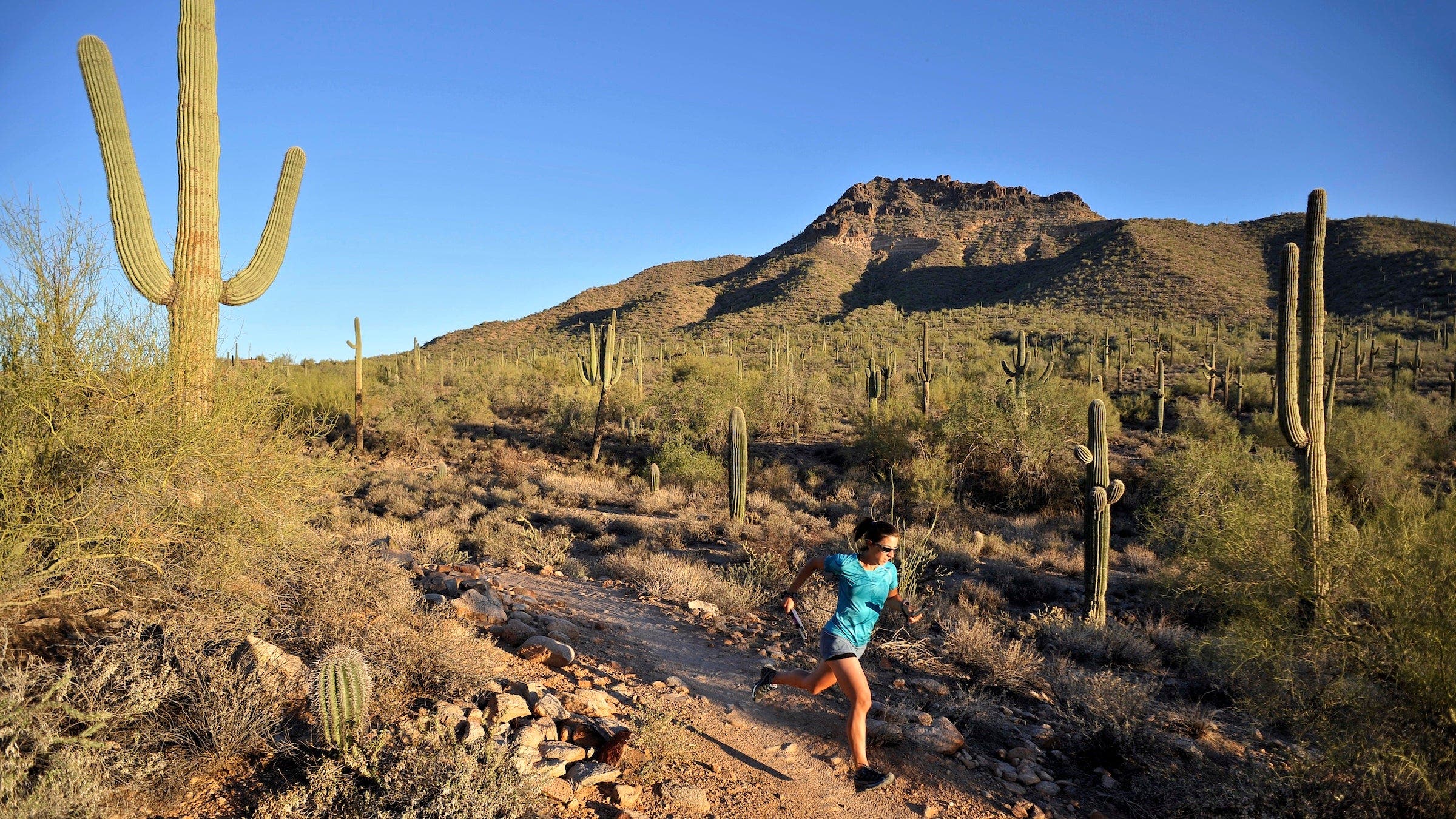 How Runners in Phoenix Survived the Hottest Summer Ever
