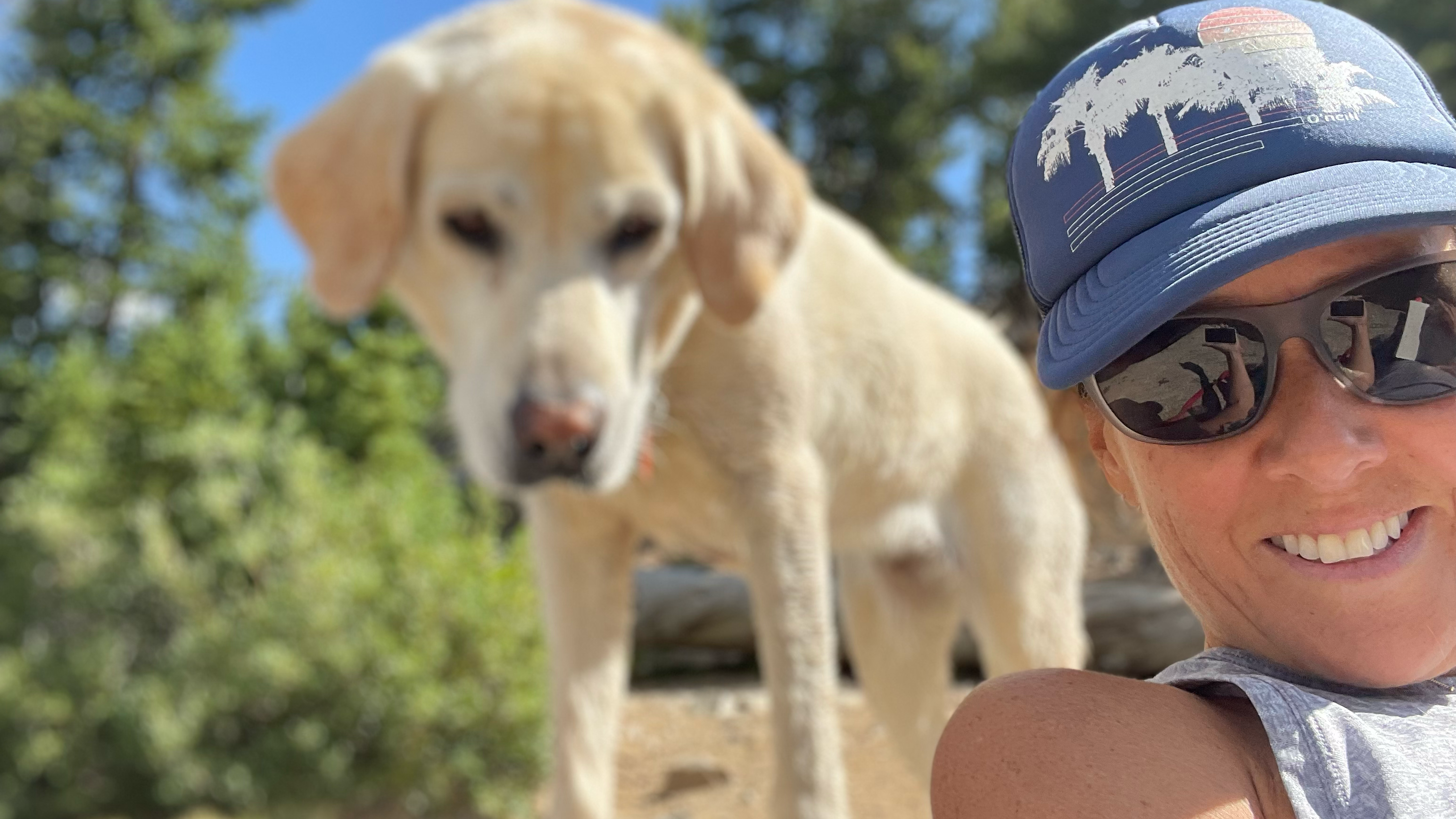 Trail running with dogs